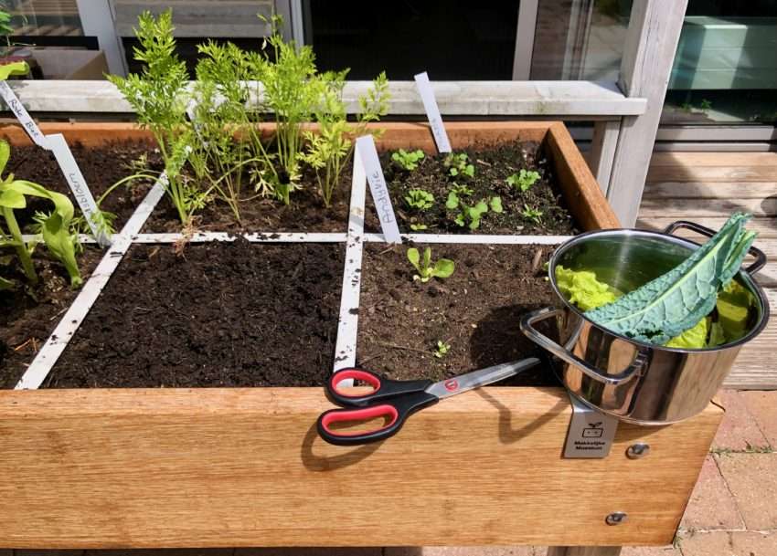 Hergebruik je kartonnen dozen: vijf leuke ideeën - Alle Kleine Beetjes