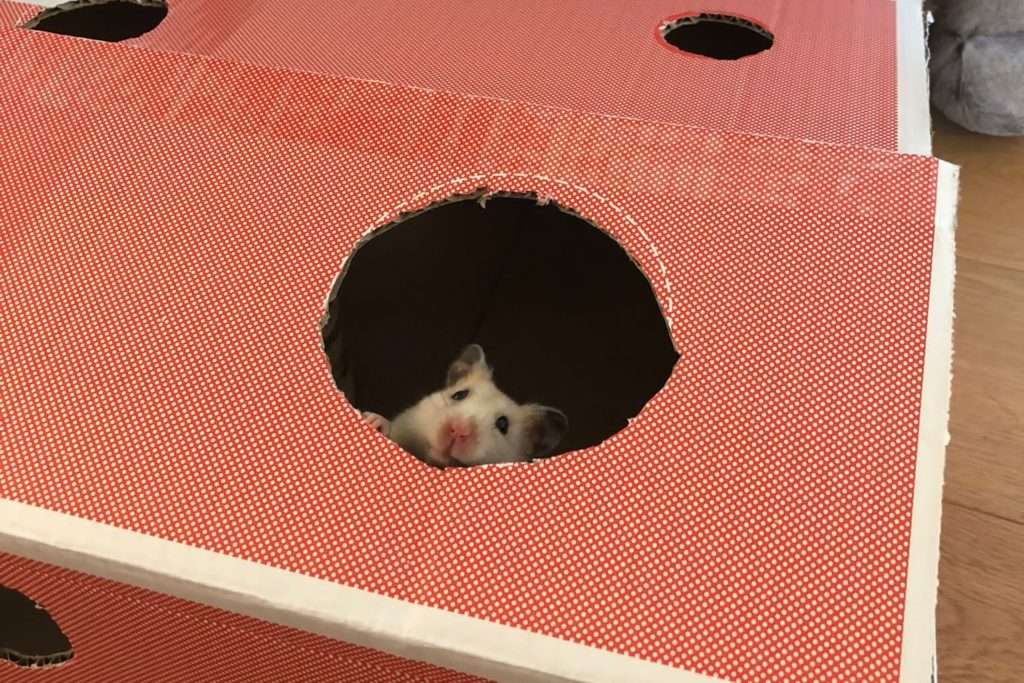 Hergebruik je kartonnen dozen: vijf leuke ideeën - Alle Kleine Beetjes